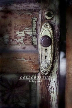 Los mejores Hechizos de Harry Potter | Superlicencias